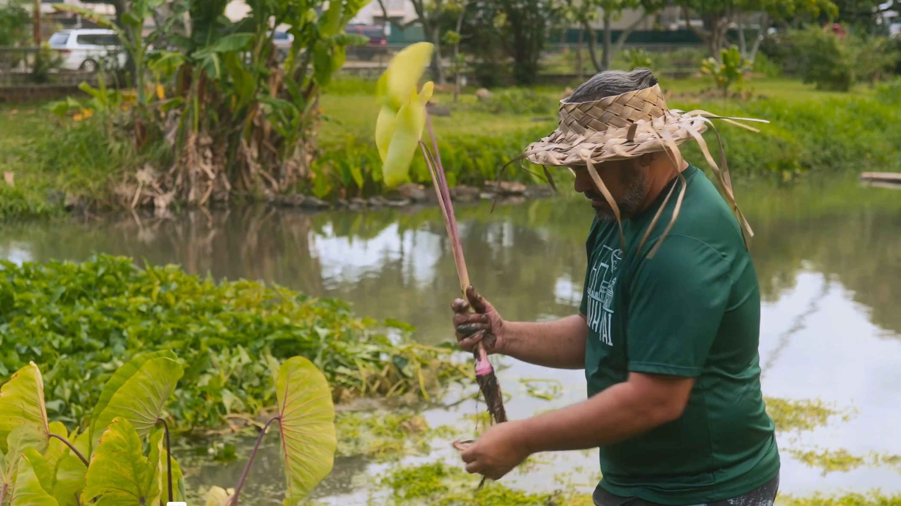 Mud Taro-py - Robert Silva – OluKai UK